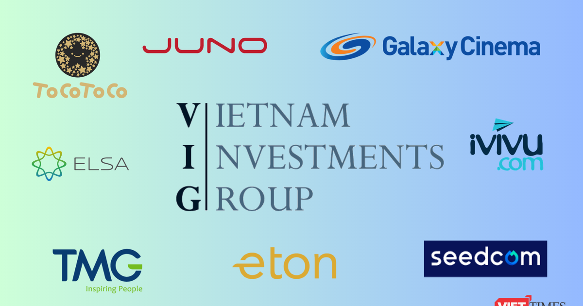 VI Group: Danh mục đầu tư ở loạt doanh nghiệp tên tuổi ở Việt Nam, từ Galaxy tới Toco Toco, Elsa,