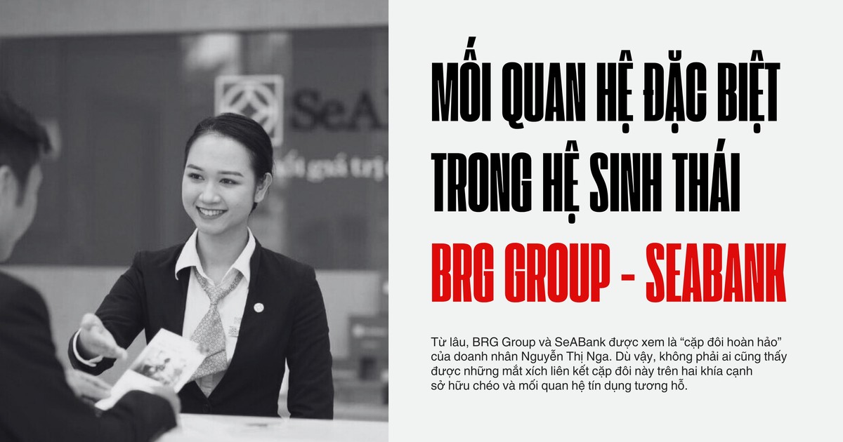 Mối quan hệ “đặc biệt” trong hệ sinh thái BRG Group và SeABank